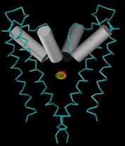1Electrostatics of the KcsA Channel